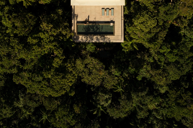 Canopy House – Harmoničan spoj arhitekture i prirode u srcu brazilske ...